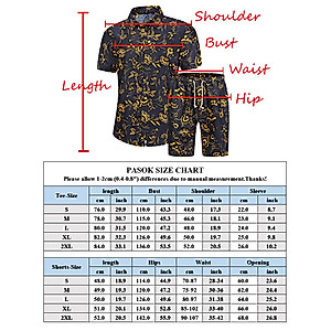 PASOK Men's Floral 2 Piece Tracksuit Casual Button Down Short Sleeve Hawaiian Shirt and Shorts Suit (2XL, DC10)
