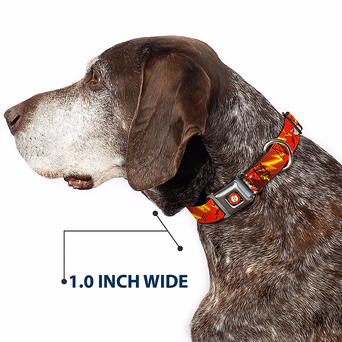 Buckle-Down Dog Collar Seatbelt Buckle The Flash Boom Kaboom, Multi Color, 1.5" Wide - Fits 16-23" Neck - Medium (DC-WFL003-WM)