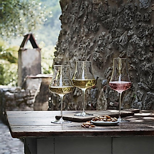 Luigi Bormioli Tentazioni Set Of 6 Bordeaux 22.75 Oz. Wine Glasses, Crystal SON-hyx Glass, With Titanium Reinforced Stems, A Decanter on a Stem, Dishwasher Safe, Made In Italy.