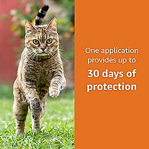 Amazon Basics Flea Topical for Medium Cats (5-9 pounds), 4 Count (Previously Solimo)