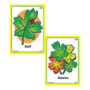 Super Duper Publications | Irregular Plurals Fun Deck Flash Cards | Educational Learning Resource for Children