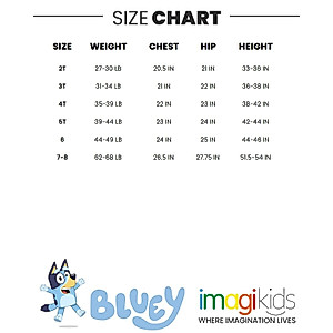 Bluey Bingo Little Boys Fleece Hoodie and Pants Outfit Set Blue/Grey 7-8