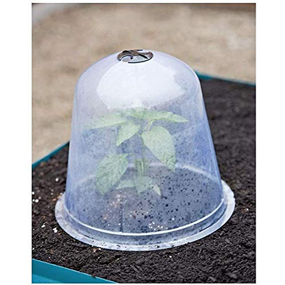KiaoTime Pack of 10 Reuseable 10" Plastic Greenhouse Garden Bell Cover Germination Cover Frost Guard Freeze Protection Dome with Bonus 30 Metal Stakes+10 Tags