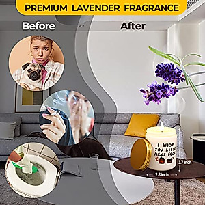 Mothers Day Birthday Gifts for Her, Lavender Candle Gifts for Women - I Wish You Lived Next Door - Best Friend, Friendship Gifts for Women Friend, Relaxation Gift for Women