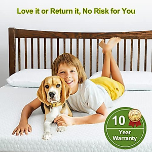 Mattress Topper Queen, Homhougo 3 Inch Green Tea Memory Foam Mattress Topper with Zippered Bamboo Cover, Cloud-Like Soft