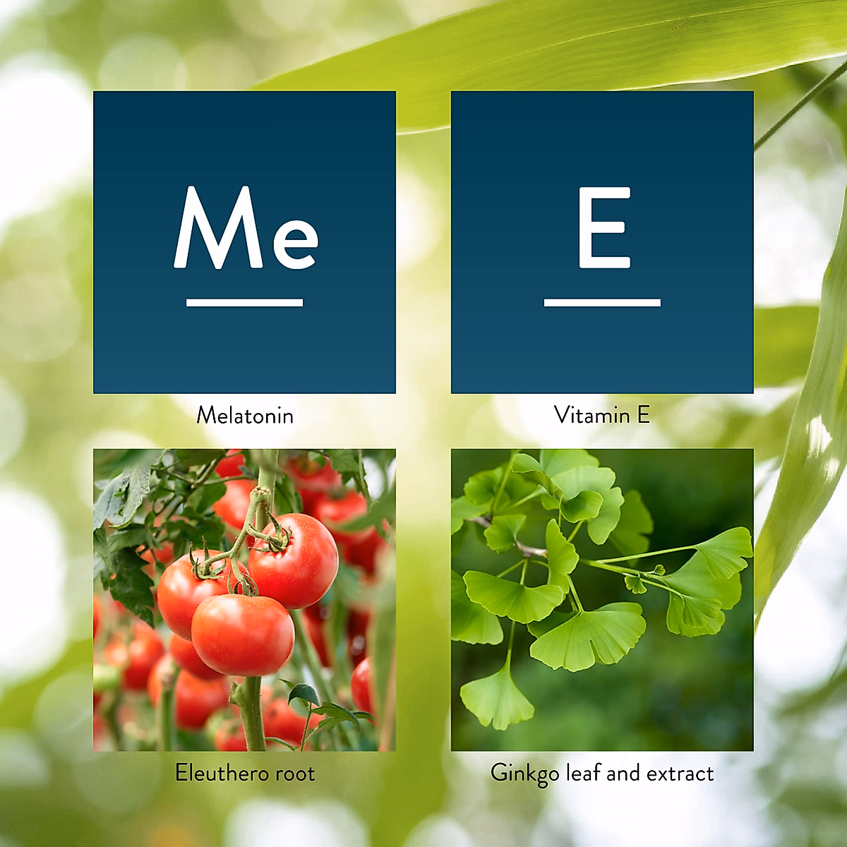 Nature's Sunshine Melatonin Extra 3mg, 60 Capsules | Melatonin Capsules to Encourage Restful Sleep and Help Fight Jet Lag by Promoting the Body's Natural Sleep Rhythm