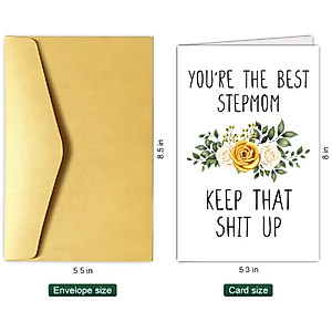 Funny Stepmom Greeting Card Gift, Mother's Day Card for Stepmom, Stepmom Birthday Card, Best Stepmom Card