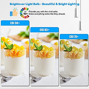 LED Light Bulbs, 100 Watt Equivalent A19 LED Bulbs, 13W 5000K Daylight White 1500 Lumens Non-Dimmable Bright E26 Edison Medium Screw Bulbs for Home Bedroom Kitchen Living Room Office Lamp, 4-Pack