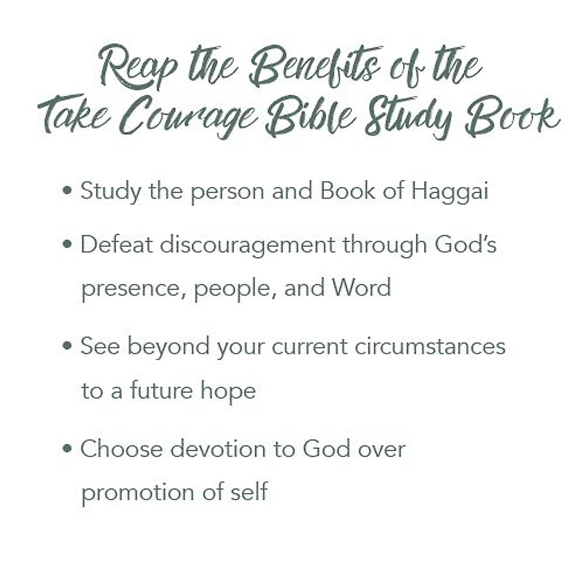 Take Courage - Bible Study Book: A Study of Haggai