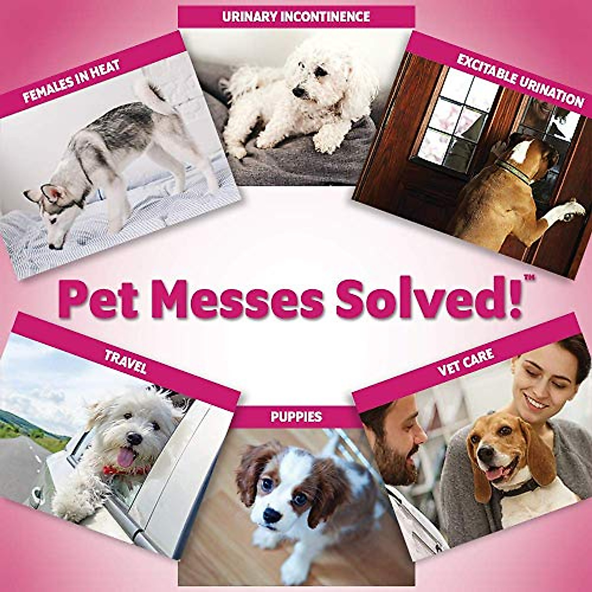 OUT! Pet Care Disposable Female Dog Diapers - Absorbent with Leak Proof Fit - XS/Small (Waist 13-18in) - 16 Count