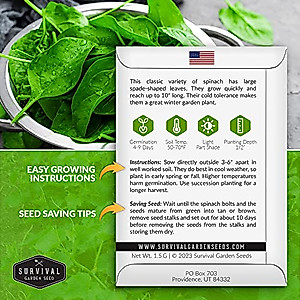 Survival Garden Seeds - Viroflay Spinach Seed for Planting - Packet with Instructions to Plant and Grow Nutritious Leafy Greens in Your Home Vegetable Garden - Non-GMO Heirloom Variety - 2 Pack
