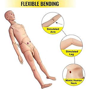 SHENGANG Female, Male PVC Patient Care Manikin Training CPR Simulator Basic Nursing Skills Geriatric Human Model for Medical Nursing Training Manikin, Life Size,Male
