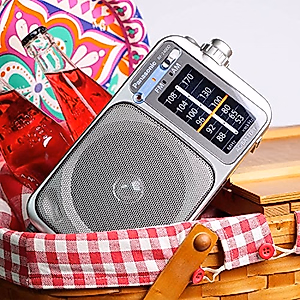 Panasonic RF-2400 AM/FM Radio, Silver