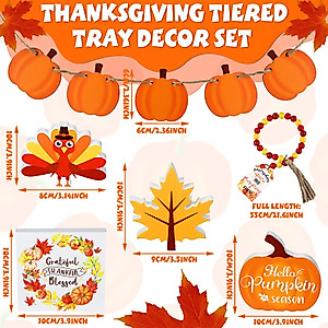 10-Piece Fall Tiered Tray Decor - Rustic Farmhouse Tray Decor with Pumpkin Wooden Signs, Turkey Table Centerpieces, Wood Bead Garland, Harvest Wood Blocks for Thanksgiving & Home Wall/Door (Pumpkin)
