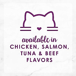 Purina Fancy Feast Savory Centers Pate Adult Wet Cat Food with Beef and a Gravy Center - (Pack of 24) 3 Oz. Cans