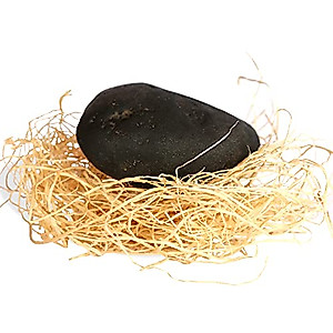 Rock Buddy with Full Training Manual and Bedding