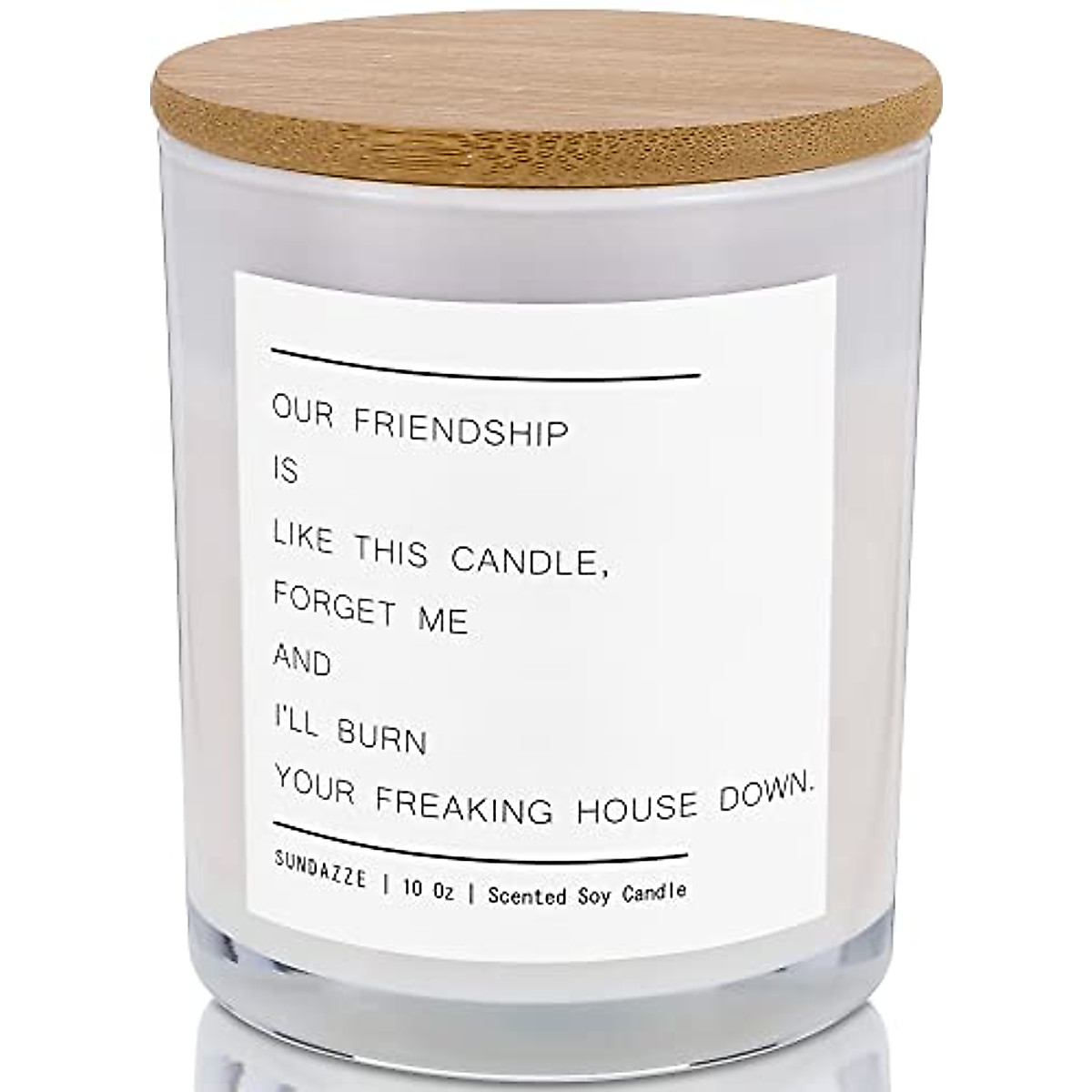 SUNDAZZE Our Friendship is Like This Large Scented Candle – 25oz, Natural Soy, Vanilla Fragrance – Funny Best Friend Candle, Novelty Gifts for Women – Eco-Friendly, 70-Hour Burn Time . Vanilla