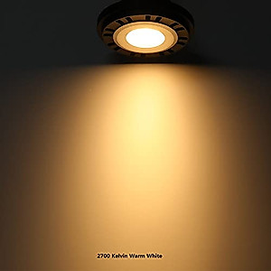 Leelands PAR36 Landscape LED Bulb Outdoor Well Lights Landscape Lighting Garden Lights Yard Illumination Soft Warm White Low Voltage 12V AC/DC Water Resistant Rating IP67 10Watt