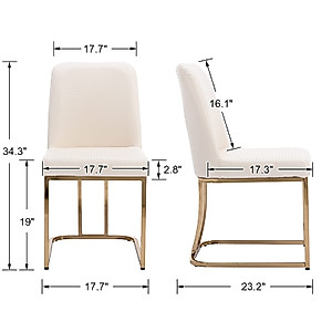 Wahson Set of 2 Faux Leather Upholstered with Woven Detail Dining Room Chairs, Classic Modern Fabric Chair for Dining Room, with Golden Metal Frame, Beige