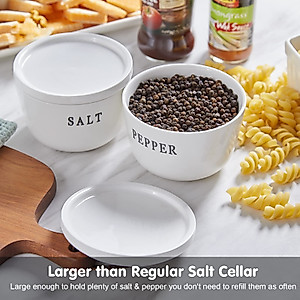 Ceramic Salt and Pepper Bowls - ALELION Salt Cellar with Lid, 10 oz Salt and Pepper Container Set for Countertop, White Kitchen Counter Decor and Accessories, Kitchen Gifts for Women, Set of 2