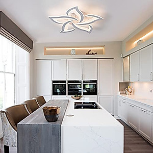 CHYING Modern LED Ceiling Light 23.6'' Dimmable Flush Mount Ceiling Light with Remote Control 80W LED Chandelier Acrylic Ceiling Lamp Fixture for Bedroom Kitchen Living Room Dining Room, White