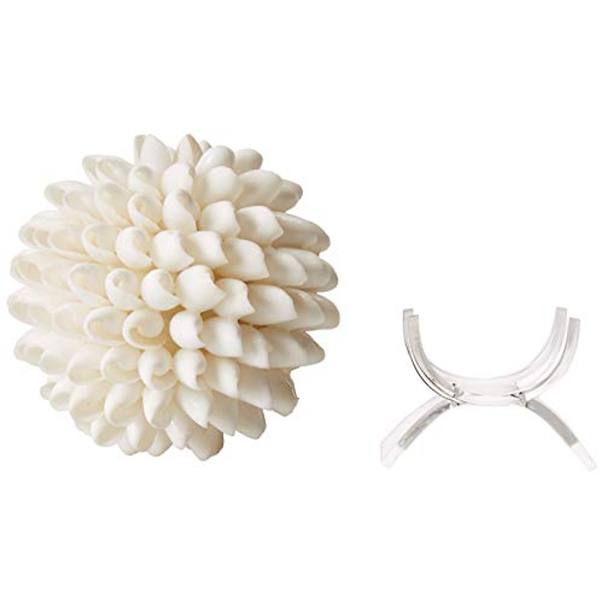 Tumbler Home Real White Seashell Sphere with Lucite Stand | 3 Inches Wide | Beach House Shelf Decor