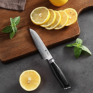 Wakoli 4 Piece Professional Damascus Kitchen Knife Set, Made of 67 Layers of Genuine Damascus Steel with VG10 Core, Chef's Knives Set with Ergonomic Micarta Handles for Precision and Comfort (MIK)