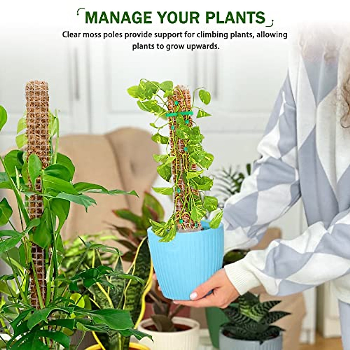 Gardzizy Plastic Moss Pole 6 Pcs 24 Inch Moss Poles for Plants Monstera Climbing Plants, Plant Support for Indoor Plants Work with Sphagnum Moss (6 Pack)