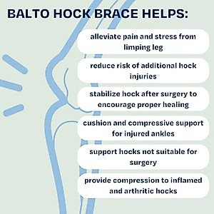 Balto Canine & Feline Hock Brace – Dog Ankle Brace - Brace with Aluminum Splints – Pre/Post Surgery Helps Support Arthritis and Unstable Joints – Back Leg Support (Extra Small)