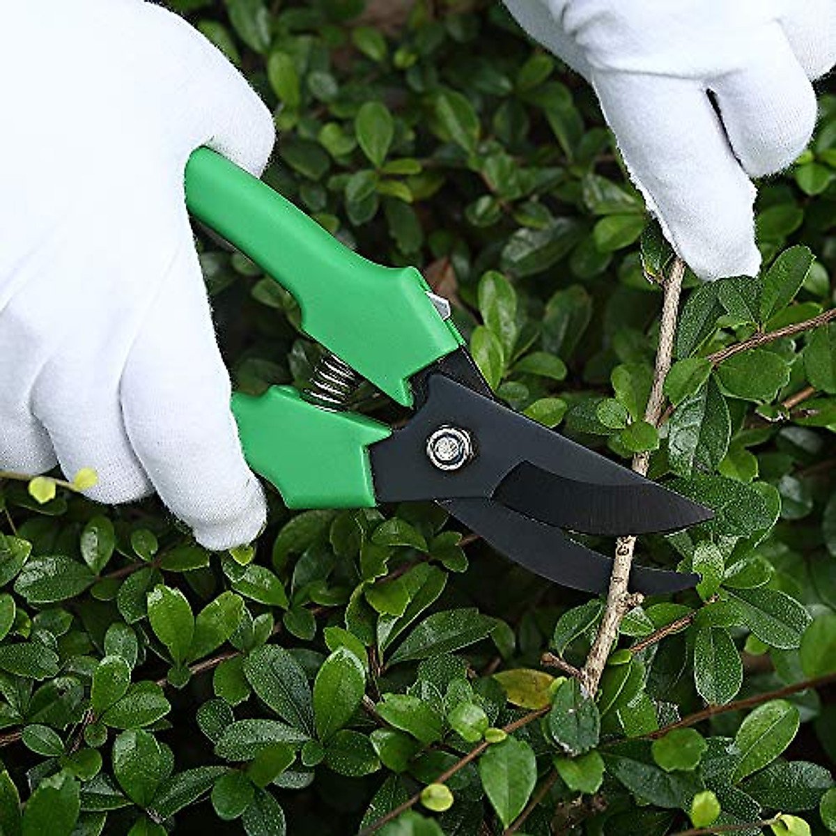 Lebabo 7.5" Pruning Shears, Ultra Sharp Garden Clippers, Metal Pruning Scissors Branch Cutter for Gardening, Flowers, Plants, Herbs, Bonsais (Green)