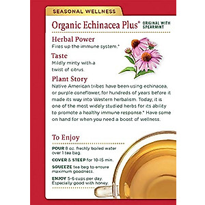 Traditional Medicinals Tea, Organic Echinacea Plus, Promotes Immune Function, w/ Spearmint, 96 Tea Bags (6 Pack)