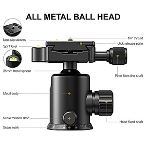 RALENO® 78'' Camera Tripod with 360° Ball Head - Versatile, Sturdy, and Compact Metal Tripod for Professional Photography (20lbs Load, Includes Bag&Disassembly Tools)