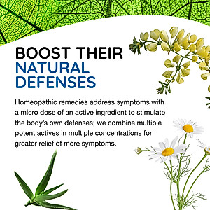 T-Relief Pet Digestive Complete GI Relief for Dog & Cat Soothing Aloe + 13 Natural Homeopathic Actives Help Calm Nausea & Diarrhea from Mild Illness Food Stress or Motion Sickness - 90 Tablets