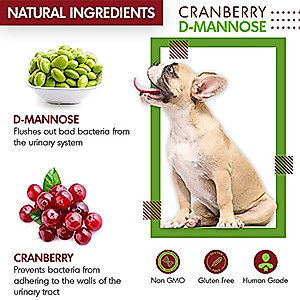Cranberry D-Mannose for Dogs and Cats Urinary Tract Infection Support Prevents and Eliminates UTI, Bladder Infection Kidney Support, Antioxidant (Single Strength Tablet, 60 Count)