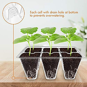 Gardzen 3-Set Garden Propagator Set, Clear Seed Tray Kits with 36-Cell, Seed Starter Tray with Dome and Base 6.6" x 4.5" (12-Cell Per Tray)