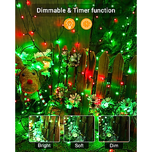 Color Changing String Lights with Remote - RGB 170 Ft 500 LED Color Changing Christmas Lights Timing Function Xmas Lights for Halloween, Christmas Decor, Holiday, Party, Xmas Decorations