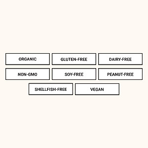 Essential Elements Organic Pea Protein Powder - Creamy Chocolate | Low-carb Plant-Based Vegan Blend - Keto-Friendly and Gluten-Free | 20 Servings, 17 oz