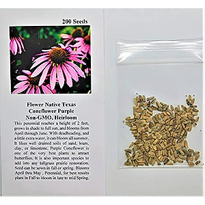 David's Garden Seeds Flower Native Texas Coneflower Purple 2424 (Purple) 200 Non-GMO, Heirloom Seeds