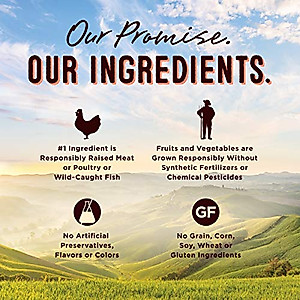 Castor & Pollux Pristine Grain Free Small Breed Free-Range Chicken Stew Canned Dog Food, (12) 3.5oz cans