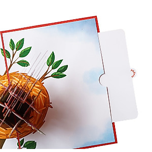 PQ Bees Pop Up Birthday Card for Women Mom Grandma Wife | 3D Mothers Day Valentines Day Christmas Card for Women Aunt Sister Wife, Friend Birthday Cards (Size 8x6 In - Cardinal Nest).