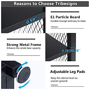 Tribesigns 2 Drawer File Cabinet with Bookshelf, Modern Vertical Filing Cabinet for Letter/Legal/A4 Size File, Large Printer Stand with Open Storage Shelves for Home Office, Black