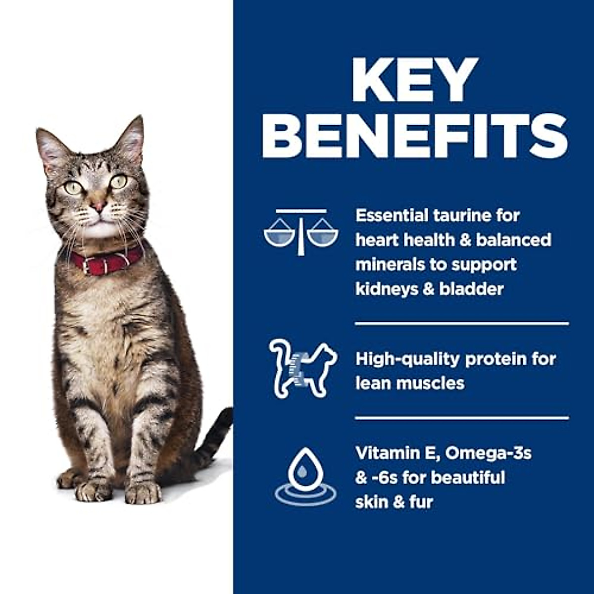 Hill's Science Diet Adult 1-6, Adult 1-6 Premium Nutrition, Dry Cat Food, Chicken Recipe, 16 lb Bag