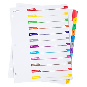 Amazon Basics 12 Tab Monthly Dividers for 3 Ring Binder, Customizable Table of Contents Page, Multicolor, 10-Pack