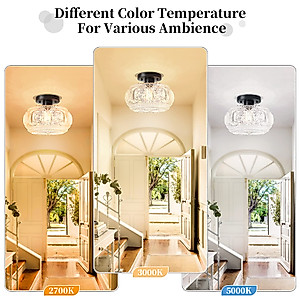 OYKYOHEI Semi Flush Mount Ceiling Light, Globe Glass Ceiling Light Fixture, Black Modern Lighting for Hallway Porch Corridor Kitchen Bedroom, Bulb Not Included