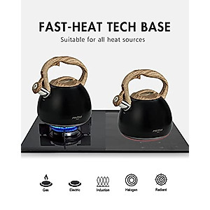 POLIVIAR Tea Kettle, Black Ti Stovetop Tea Kettle 2.7 Quart , Audible Whistling Teapot, Food Grade Stainless Steel for Anti-Rust and Anti Hot Handle, Suitable for All Heat Sources (JX2018-WB20)