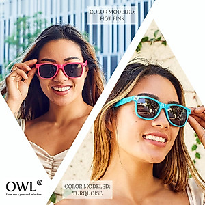 OWL Unisex Retro Style Classic Vintage Sunglasses with Smoke Lens Pink Frame