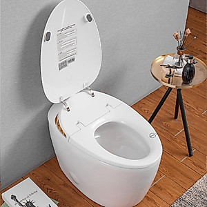 BWE Smart Toilet With Bidet Built In, One-piece Bidet Toilet Seat, Auto Flush, Auto Open & Auto Close,Heated Seat, Warm Water and Dry, Wireless Remote Control