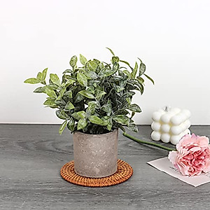 VaryFloral 3 Packs Small Fake Plants Artificial Potted Plants Set Realistic Eucalyptus Rosemary Mini Faux Greenery Potted Artificial Plants for Decoration for Home Décor Shelf Table Bathroom Indoor