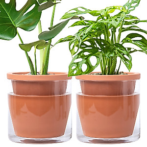 D'vine Dev 6 Inch Design Self Watering Pot for Indoor Plants, Terracotta Planter with Cylinder Glass Cup, Set of 2, 372-B-2