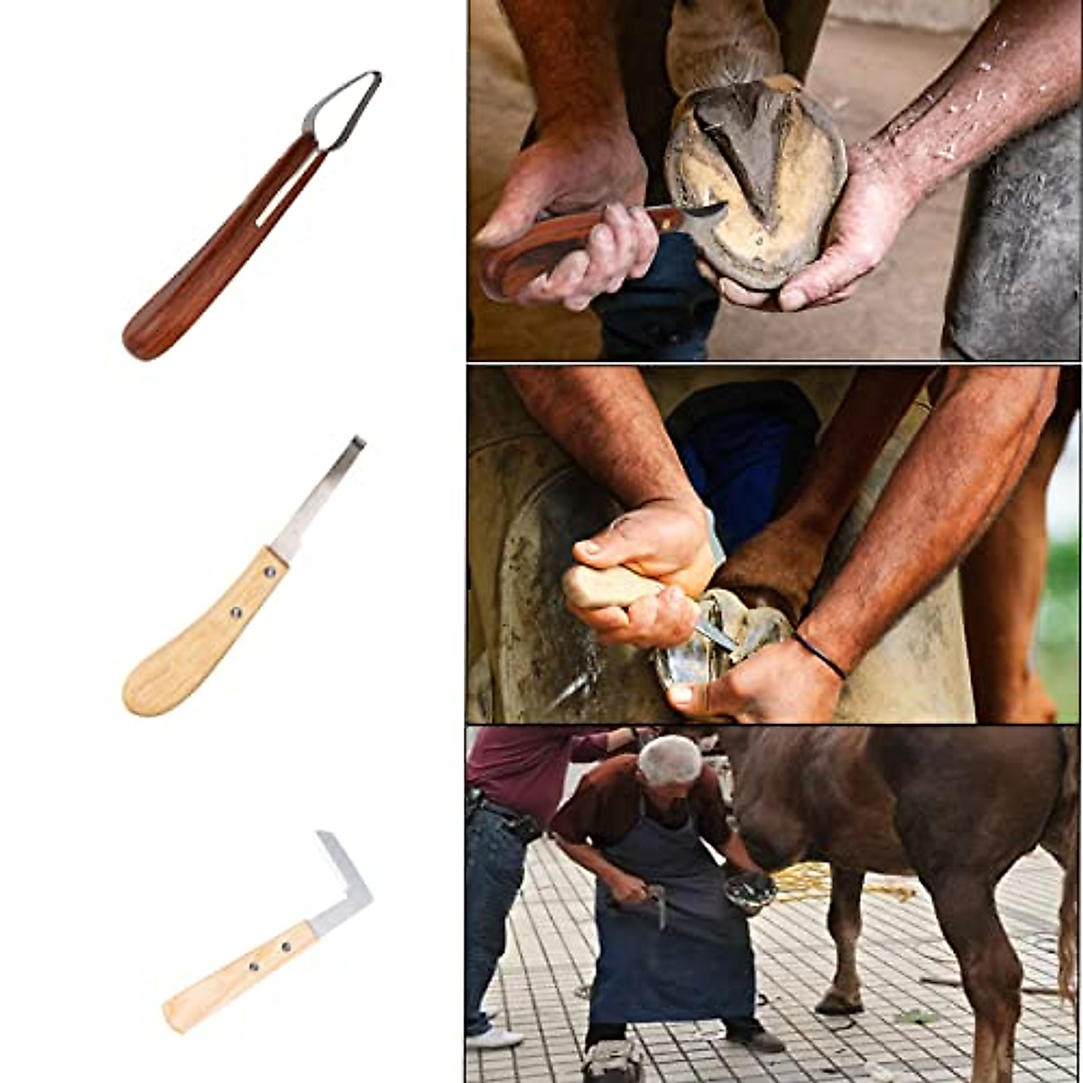 capuca Farrier Tools Horse Hoof Trimmers - 64PCS Goat Hoof Trimmers Kit 8 Inch Hoof Rasp Nippers Pick Knife Cutter Buffer Hammer Brushes with Hoof Knife Sharpener for Pigs